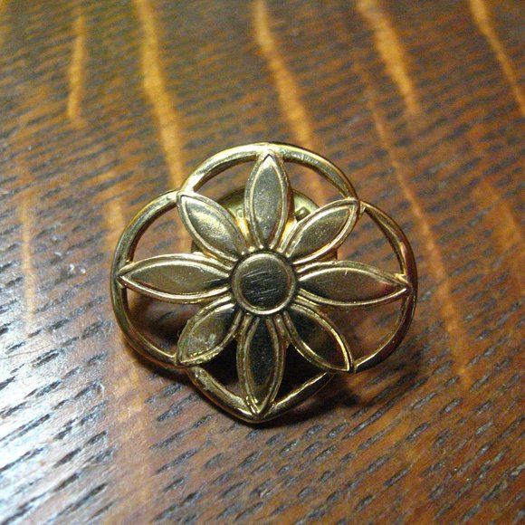 Girl Scout Daisy | Jewelry | Girl Scout Daisy Membership Vintage Lapel ...